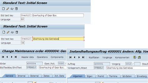 Managing Different Languages In Sap Pm A Functi Sap Community