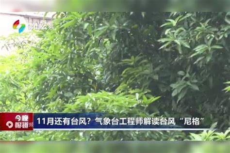 11月还有台风？气象台工程师解读台风 尼格”台风尼格