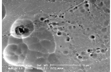 7 Sem Micrograph Showing The Subgrain Structure A Matrix