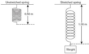 IGCSE Physics Describe Elastic Behaviour As The Ability Of A Material To Recover Its