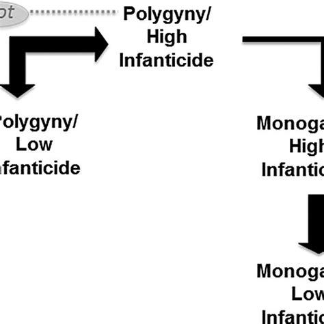 3 Correlated Evolution Between Primate Mating System And Reported