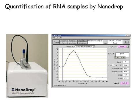 RNA Lab Isolation Quantification And Q PCR Analysis