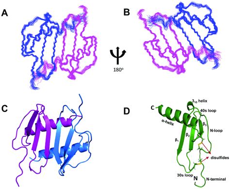 Nmr Solution Structure Of Cxcl5 Dimer Panels A And B Show The Download Scientific Diagram