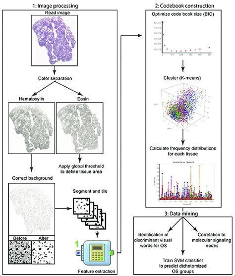 Schematic Of The Analytical Workflow The Overall Workflow Used In This