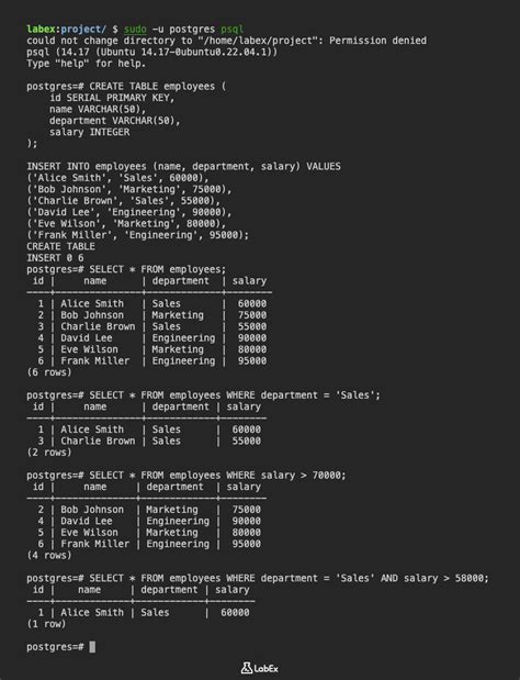postgresql データフィルタリングと簡単なクエリ データ抽出 labex