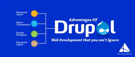 advantages of drupal web development you can t ignore
