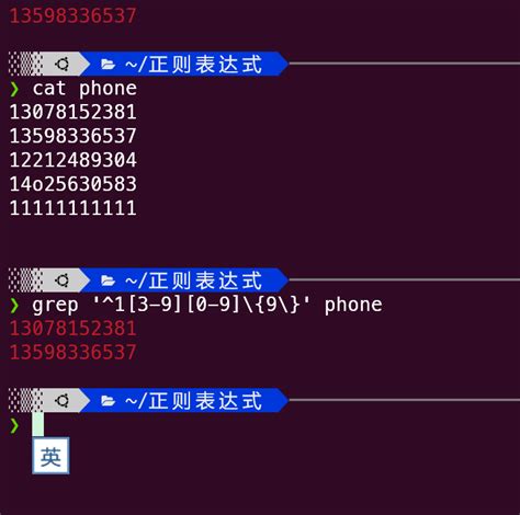 探秘正则表达式：从grep命令到c语言 c grep csdn博客