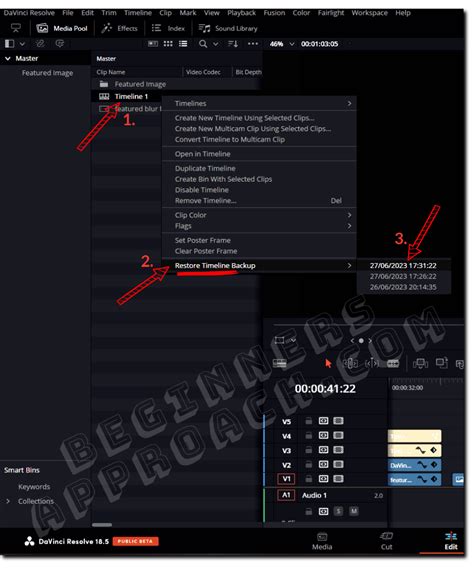 Backup Timeline In Davinci Resolve 185 And Restore 2024