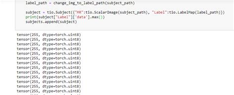 Indexerror Target 255 Is Out Of Bounds Vision Pytorch Forums