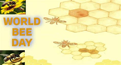 Celebrating World Bee Day Facts And Awareness