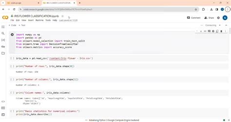 Nandhana Ts On Linkedin Cipherbyte Technologies Iris Flower Classification Internship Project