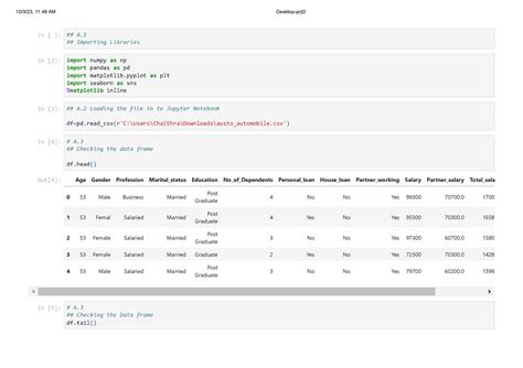 Prjt SMDM Project With Dataset In Jupyter Notebook Age Gender Profession Marital Status