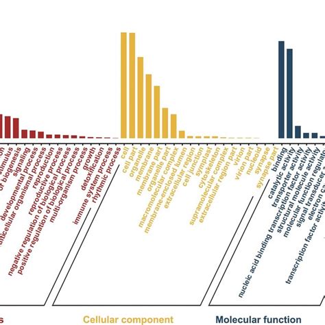 Go Classifications Of The Assembled Unigenes Download Scientific