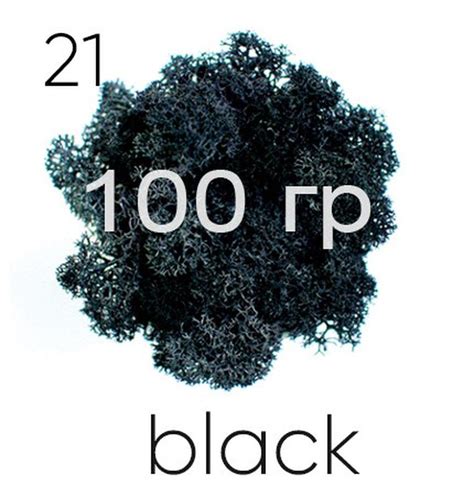 Мох стабілізований ягель чорний 21 100 грам — ціна 166 грн у каталозі Штучні квіти Купити