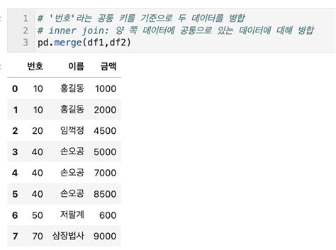 Pandas Dataframe 합치기