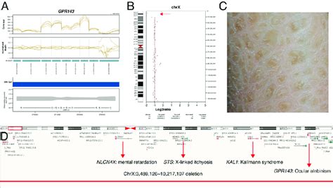Copy Number Variations From Targeted Next Generation Sequencing In A Download Scientific