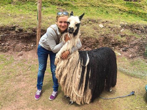 Zoo Assistant Volunteer In Peru 2023