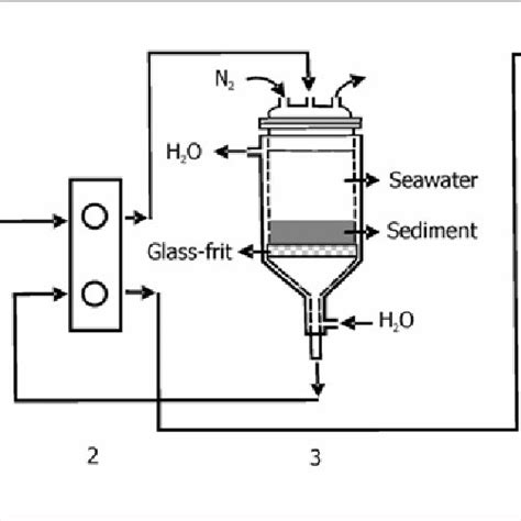 Experimental System Used For The Nitrate Reduction Assay 1 Seawater
