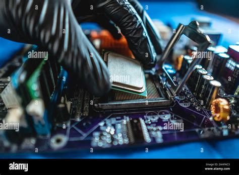 Engineer Repairman Holding Hands In Black Gloves Chip Processor CPU To Insert Into The Socket