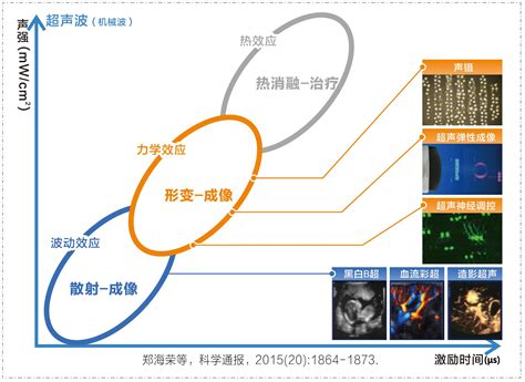 专业实验室 劳特伯生物医学成像研究中心