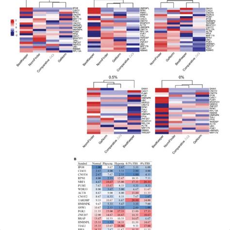 Kegg Pathway Enrichment Analysis Of The Gapdh And Actb Ppi Networks