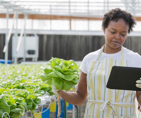 Chatgpt Esg And Large Language Models Artificial Intelligence Zone