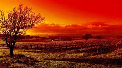 Autumn Sunset Wallpapers Top Free Autumn Sunset Backgrounds