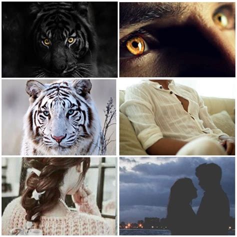 Tigerscurse Dhiren Kishan Kelsey Tiger Hiding Art Tigers Curse