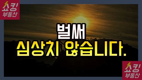 벌써부터 심상치 않은 신호가 쏟아집니다 Youtube