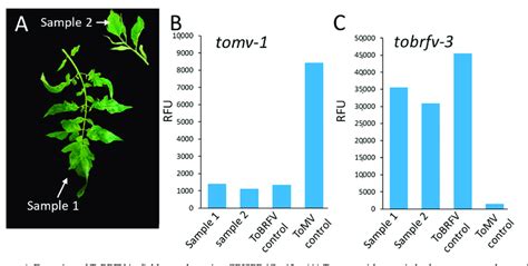 Sensitivity And Specificity Analysis For The Selected Crrnas A