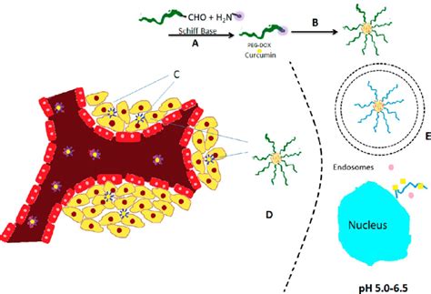 Figure Consists Of An Illustration Of The Synthesis And Working Download Scientific Diagram
