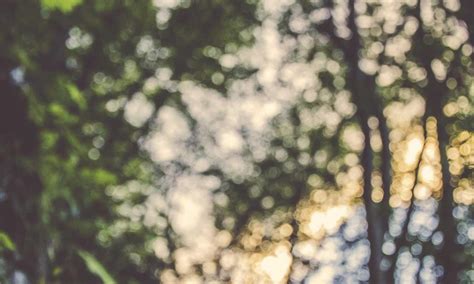 mastering data structures the backbone of efficient coding