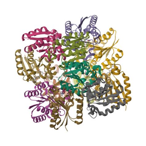 Rcsb Pdb 3n86 Crystal Structure Of 3 Dehydroquinate Dehydratase From Mycobacterium