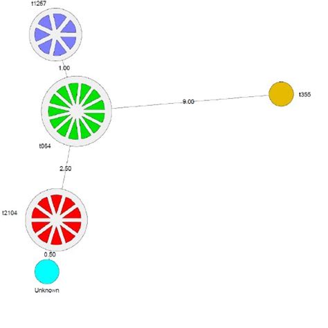 Minimum Spanning Tree Showing The Relationship Of The Isolates In Download Scientific Diagram