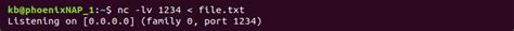 Nc Netcat Command Syntax Command Options And Examples Eu Vietnam