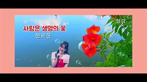 사랑은 생명의 꽃 전유진노래가좋아 Youtube