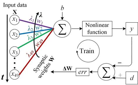 Mathematical Model Of The Perceptron The Perceptron Featured 49 Input Download Scientific