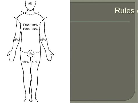 Burns 30 Yo Patient Transfered To Your Burn
