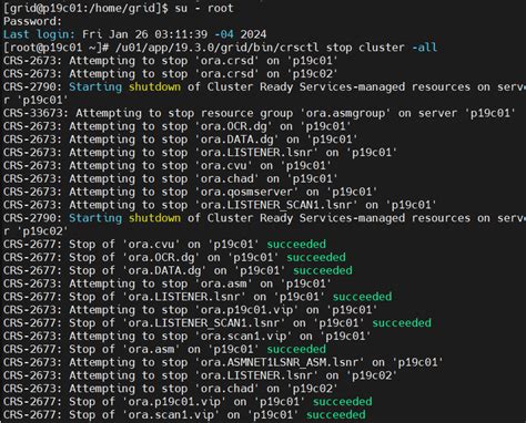 Oracle Rac集群启停oracle Rac 启停 Csdn博客