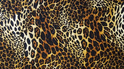 [100 ] Cute Cheetah Print Wallpapers