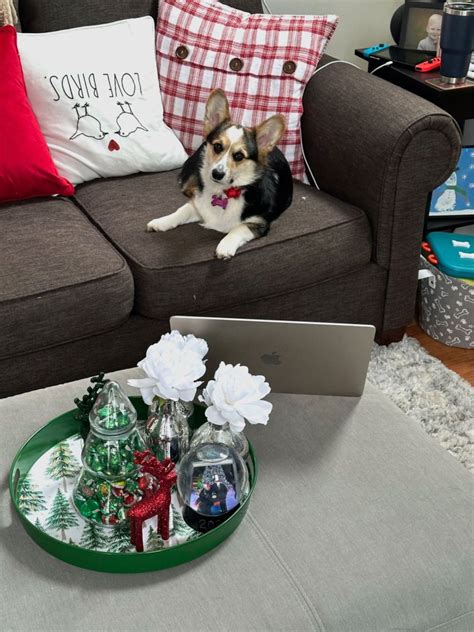 Chris Short On Linkedin Luna Is Trying To Fix This Gpg2 Signing Git Error Yeah She Gave Up