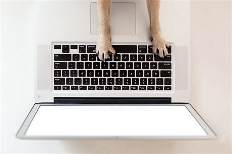 Redux Thunk Is Not Proper Redux Every Once In A While Someone Asks