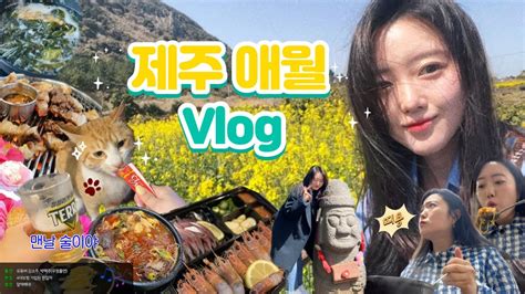 Vlog 제주도 여행 브이로그 친구랑 박 일여행 이대로만 가세요 애월맛집 애월카페 산방산 유채꽃 YouTube