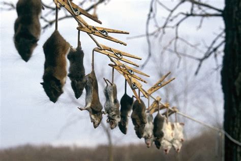 Our Nature — Fraction Magazine Our Nature — Fraction Magazine