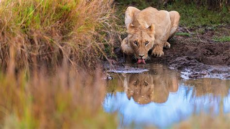 Why Everyone Needs A Hobby — Asynchronous Agile Go “async First”