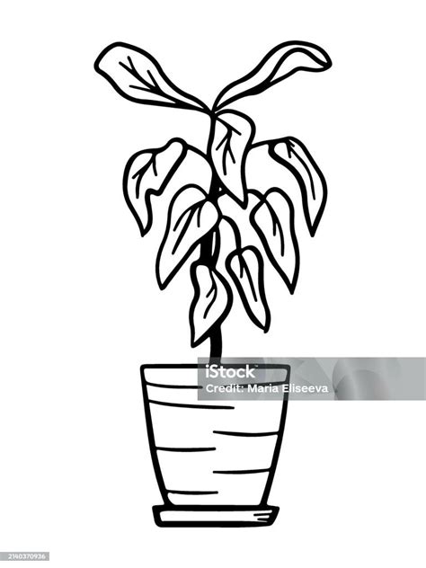 낙서 화분 벡터 윤곽선 아이콘입니다 장식용 화분에 심은 집 Ficus 스케치 그림은 인쇄 웹 모바일 및 흰색 배경에 고립 된 인포 그래픽입니다 그리기에 대한 스톡 벡터 아트