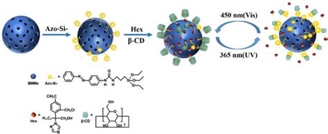 β Cyclodextrin Modified Mesoporous Silica Nanoparticles With Photo Responsive Gatekeepers For