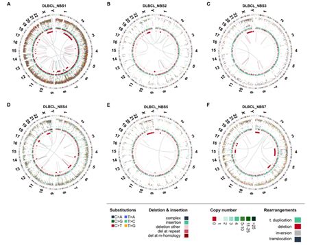 Whole Genome Circos Plots Displaying The Types And Location Of Genomic
