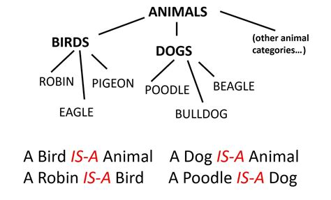 Understanding “hierarchy” In Organizing The Discipline Of Organizing
