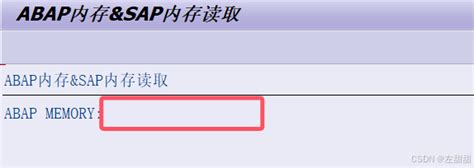abap内存和sap内存 abap内存与sap内存 csdn博客